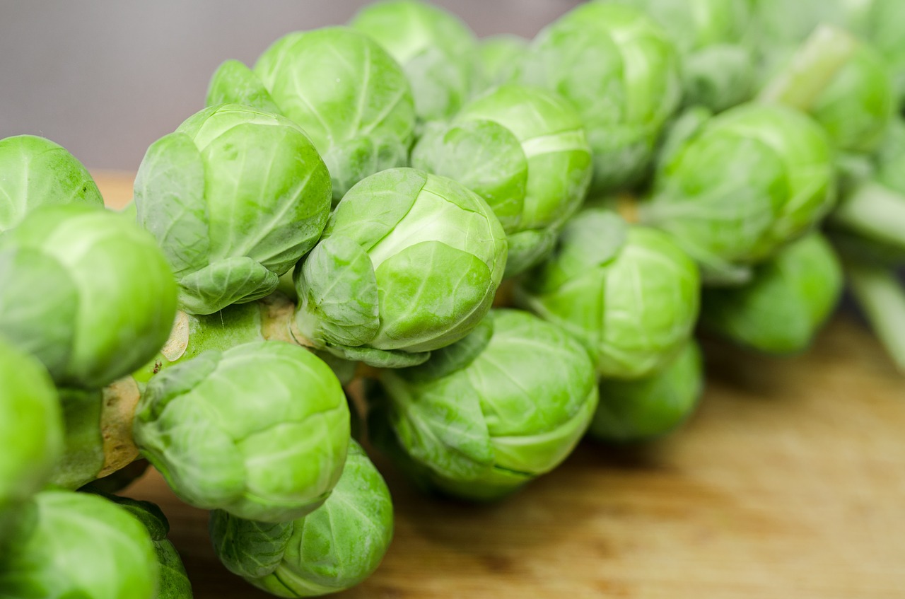 Brussels Sprout [Long Island Improved] (140+ Seeds) - Florida Seed & Garden